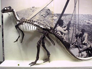 Druhy dinosaurů - Všechny druhy dinosaurů na světě - Topden.sk